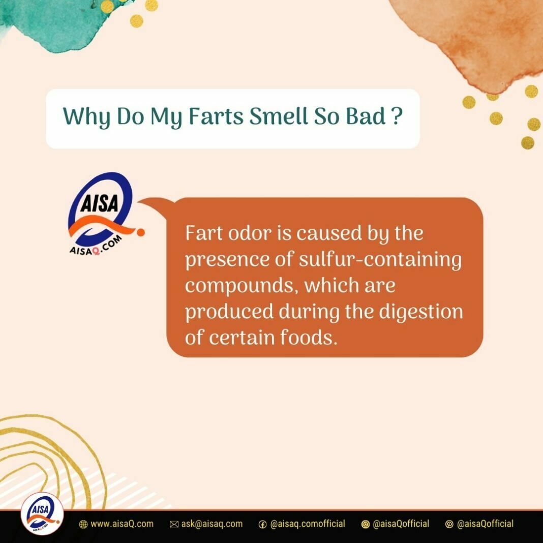 Why Do My Farts Smell So Bad - AisaQ.com